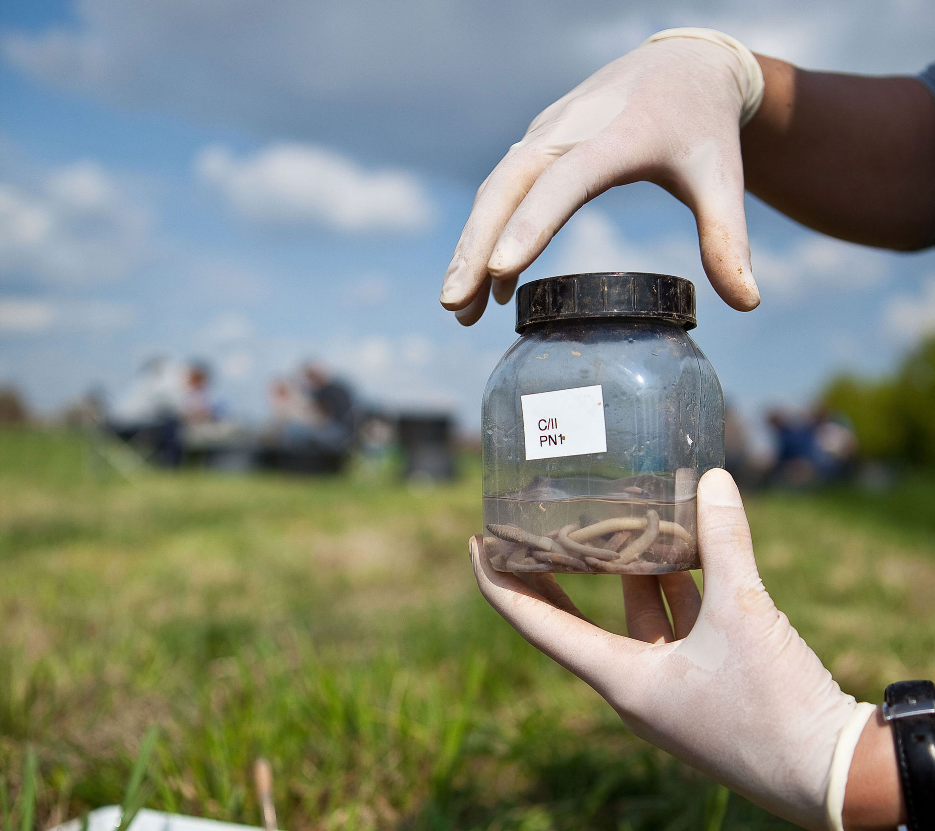 Adaptation of the current earthworm field study guideline to harmonise ... Adaptation of the current earthworm field study guideline to harmonise ...