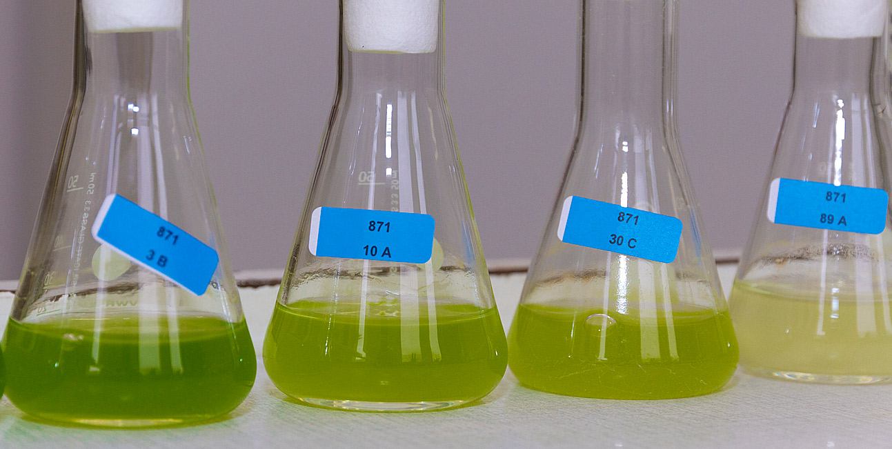 New publication on potential synergistic interaction between fungicides ...